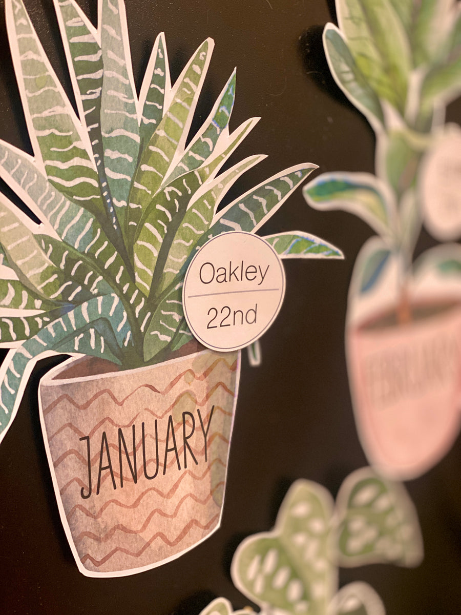 BOHO BOTANY BIRTHDAY DISPLAY – Whimsy Printables Shop