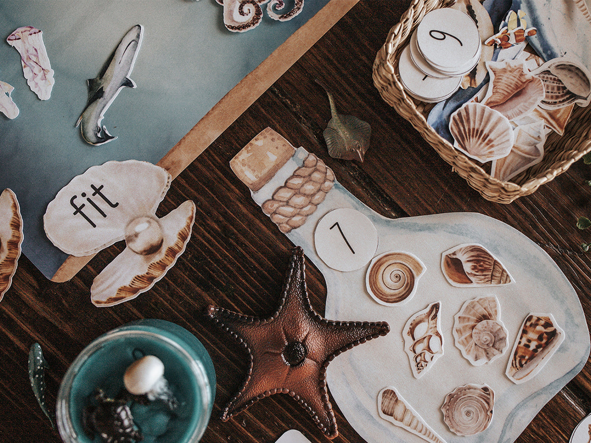 OCEANOGRAPHY MORNING BASKET – Whimsy Printables Shop