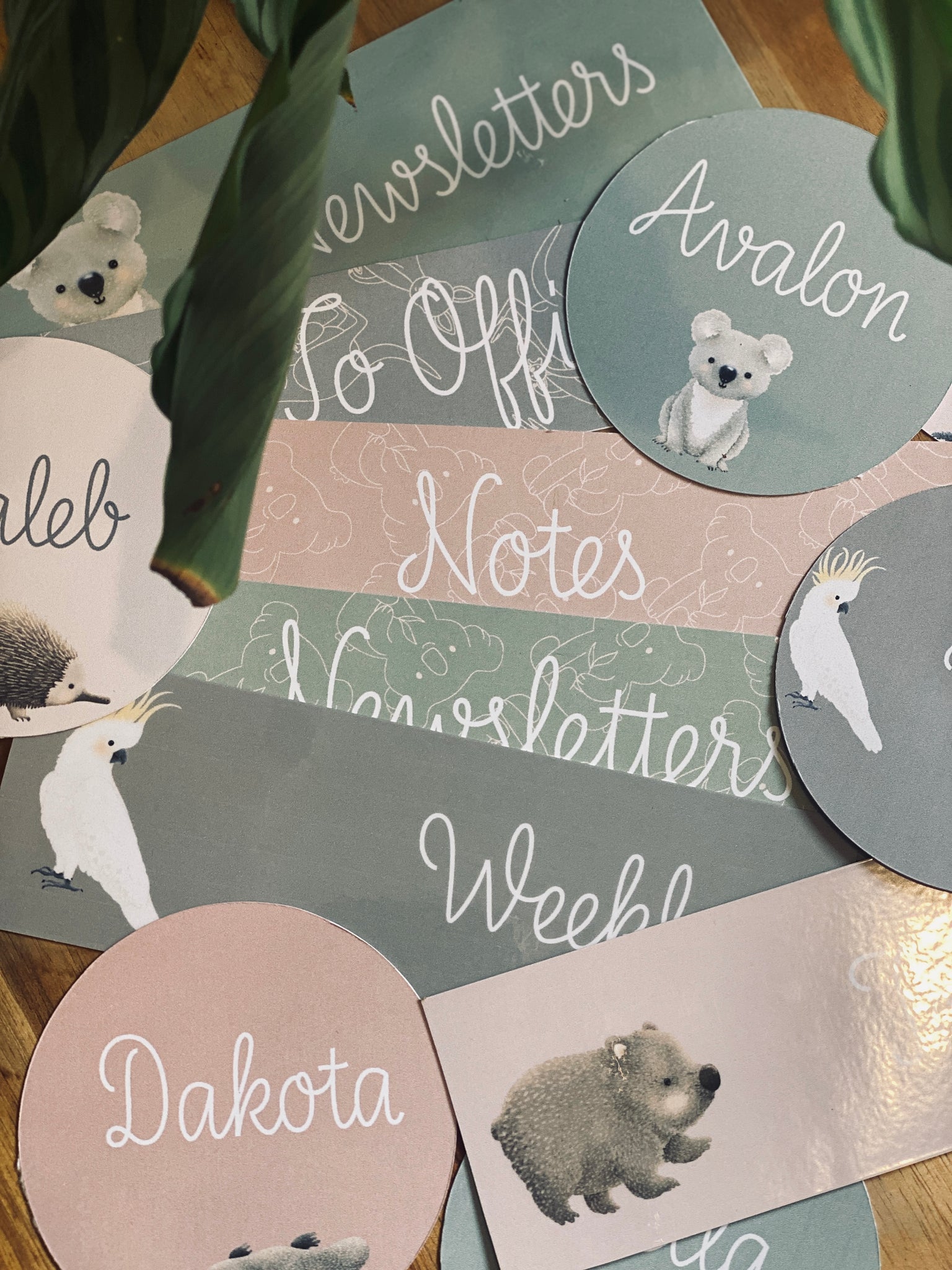 AUSTRALIAN BUSH CLASSROOM BUNDLE – Whimsy Printables Shop