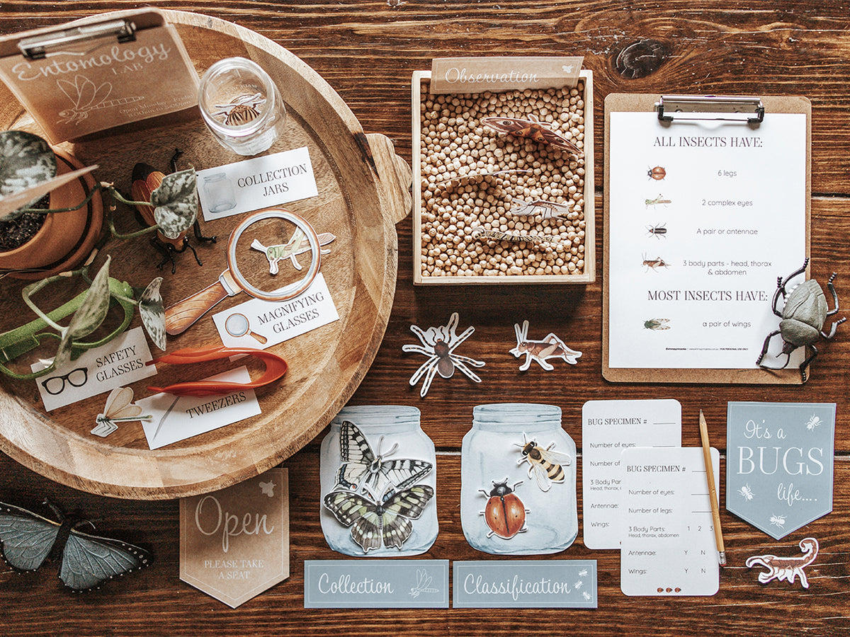 ENTOMOLOGY LAB DRAMATIC PLAY SET – Whimsy Printables Shop